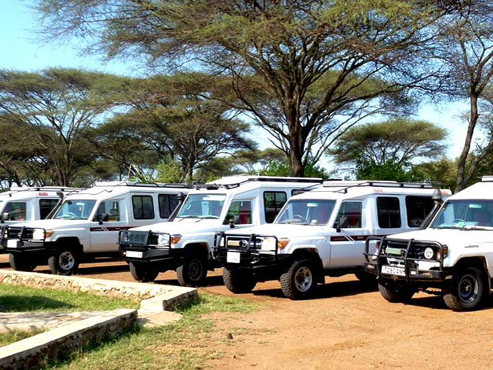 Masumin Tours & Safaris