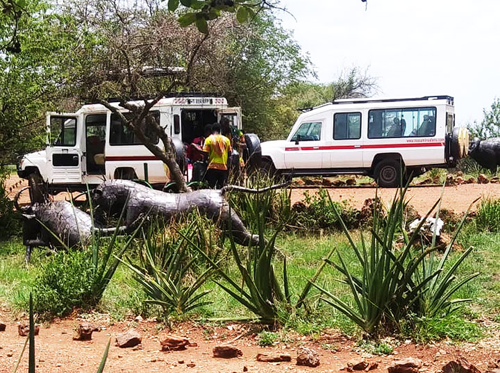 Masumin Tours & Safaris