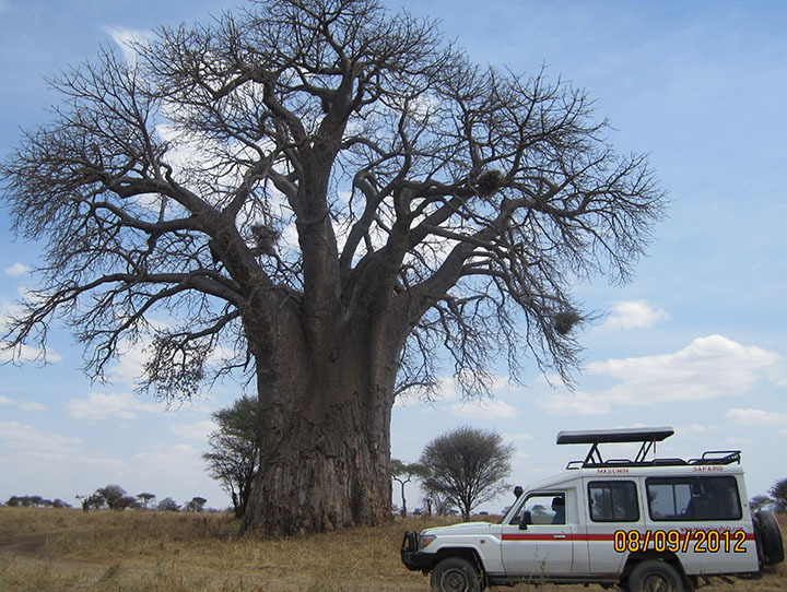 Masumin Tours & Safaris