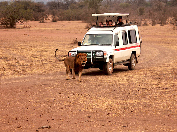 Masumin Tours & Safaris