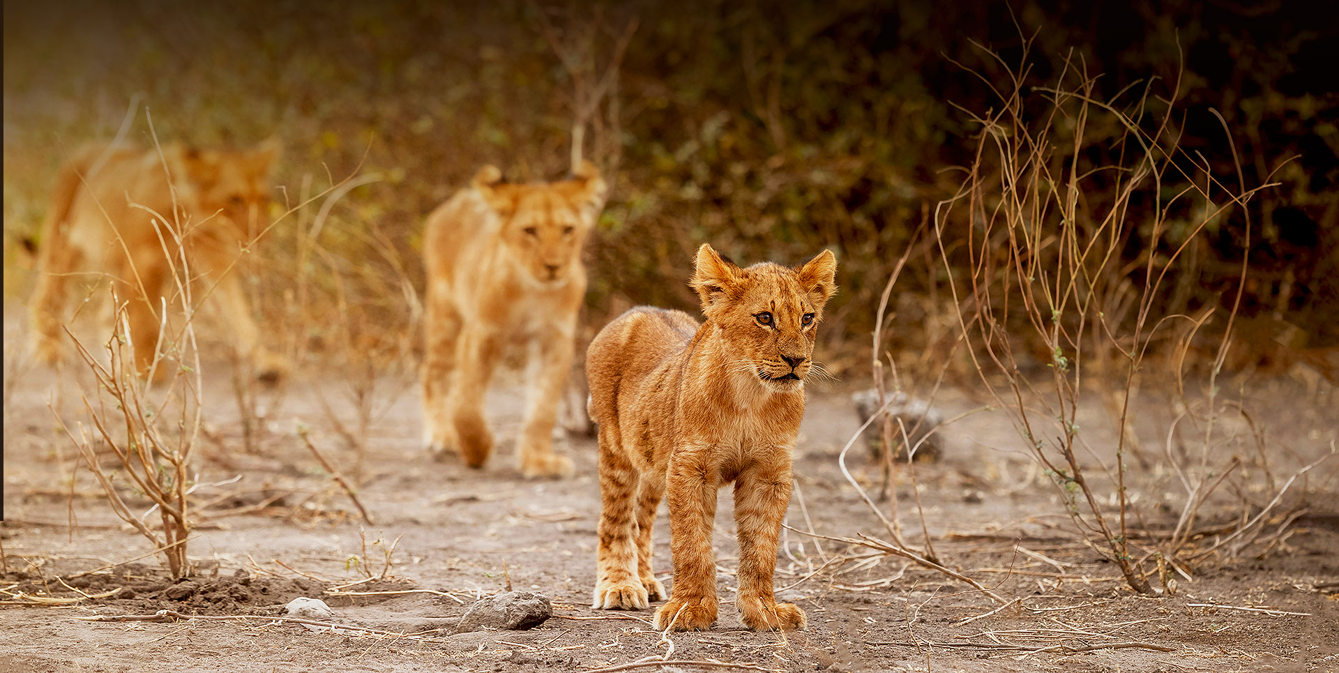 Masumin Tours & Safaris